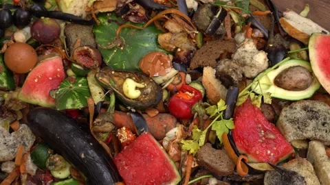 Organic Waste Stock Video Footage | Royalty Free Organic Waste Videos ...