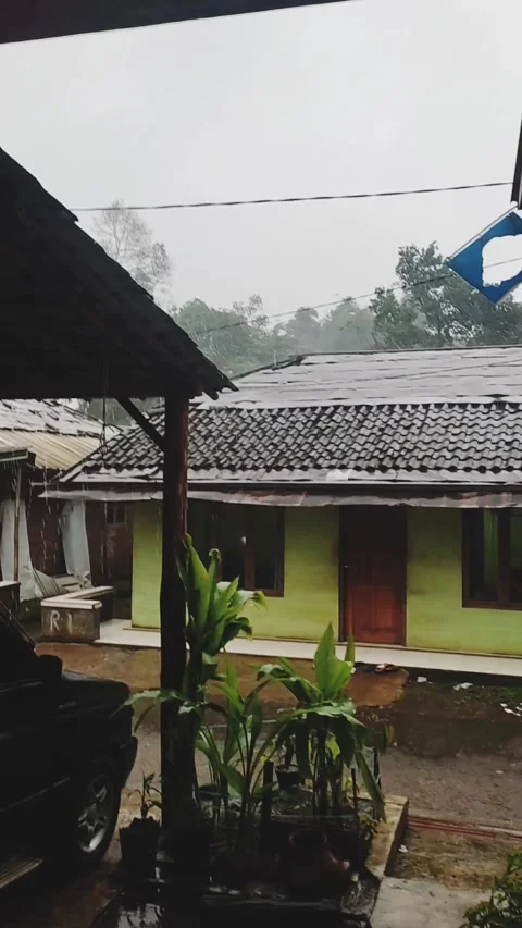 No Original Videos Stock Videos – Royalty-Free HD & 4K Videos | Pond5