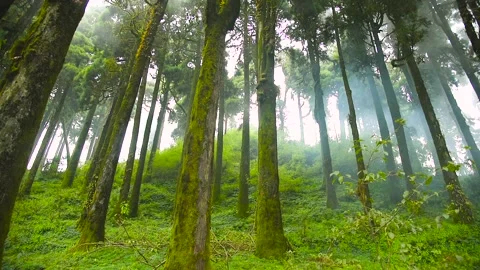 Sound Of Silsnce Stock Videos – Royalty-Free HD & 4K Videos | Pond5