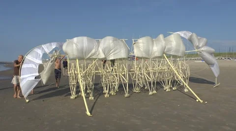 An original Strandbeest walking along th... | Stock Video | Pond5