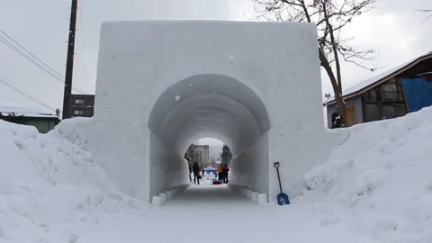 Will It Sno Stock Videos – Royalty-Free HD & 4K Videos