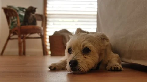 Relax Stock Video Footage | Royalty Free Relax Videos | Pond5