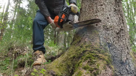 Job Prfo Stock Videos – Royalty-Free HD & 4K Videos