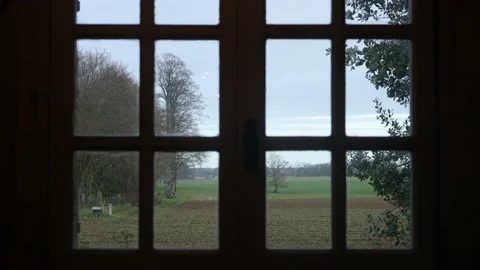 outside view of backyard through window. | Stock Video | Pond5