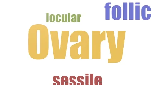 Ovary Word Cloud Animated Isolated On Wh... | Stock Video | Pond5
