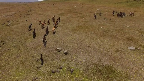 Running Two Stock Videos – Royalty-Free HD & 4K Videos