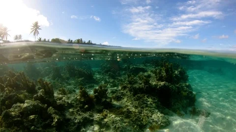 Over under sea surface ,tropical island ... | Stock Video | Pond5