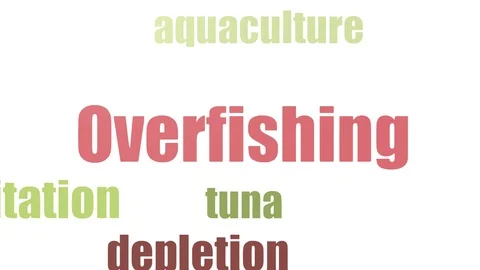 Overfishing Word Cloud Animated On White... | Stock Video | Pond5
