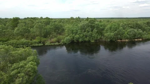 overflowing rivers, flooded forests, flo... | Stock Video | Pond5