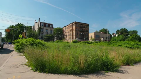 Overgrown lot. Old buildings in backgro... | Stock Video | Pond5