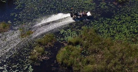 Overhead Aerial of airboat in Swamp, Bay... | Stock Video | Pond5