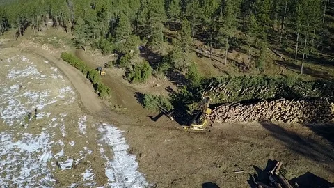 S Log Stock Footage ~ Royalty Free Stock Videos | Pond5