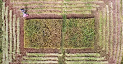 Overhead aerial view of a farmer harvest... | Stock Video | Pond5