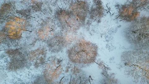 Overhead birds eye view Snow covered Amb... | Stock Video | Pond5