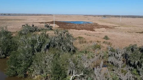 Overhead shot of swamp and marshlands wi... | Stock Video | Pond5