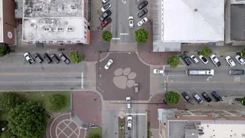 Tiger Paw Print Stock Video Footage | Royalty Free Tiger Paw Print ...