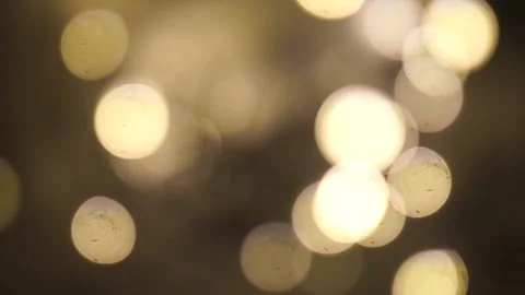 Bo Movie Stock Videos – Royalty-Free HD & 4K Videos