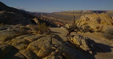 Tortured Beauty Stock Videos – Royalty-Free HD & 4K Videos | Pond5