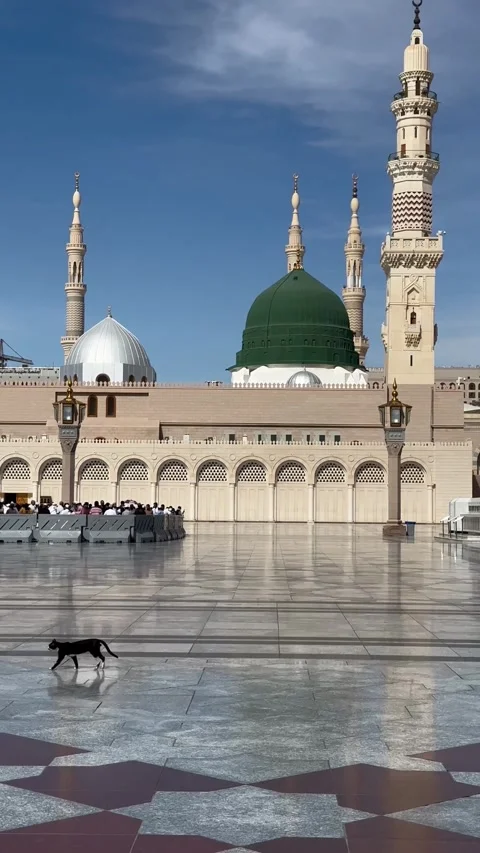 Overview of the Green dome, Masjid al-Na... | Stock Video | Pond5