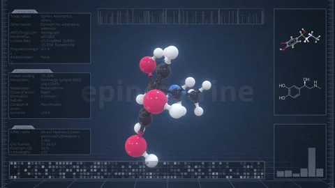 Overview of the molecule of epinephrine ... | Stock Video | Pond5
