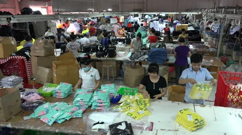 Overview of packing department of a larg... | Stock Video | Pond5