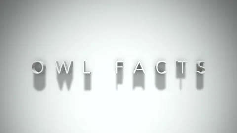 owl facts 3D title animation with shadow... | Stock Video | Pond5