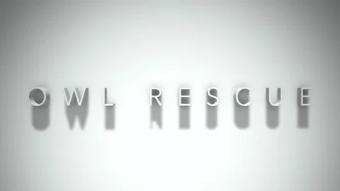 owl rescue 3D title animation with shado... | Stock Video | Pond5