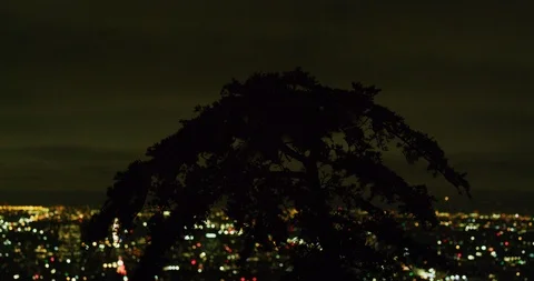 Seen Night Stock Videos – Royalty-Free HD & 4K Videos | Pond5