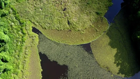 Oxbow lake - with graphic lines at Kina... | Stock Video | Pond5