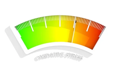 Free Scale Stock Video Footage | Royalty Free Free Scale Videos | Pond5