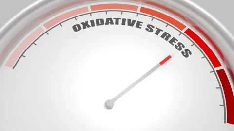 Free Scale Stock Video Footage | Royalty Free Free Scale Videos | Pond5