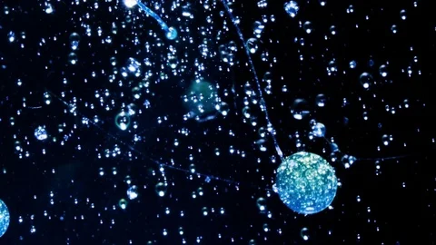 Oxygen Bubbles and Micro Life Forms are ... | Stock Video | Pond5