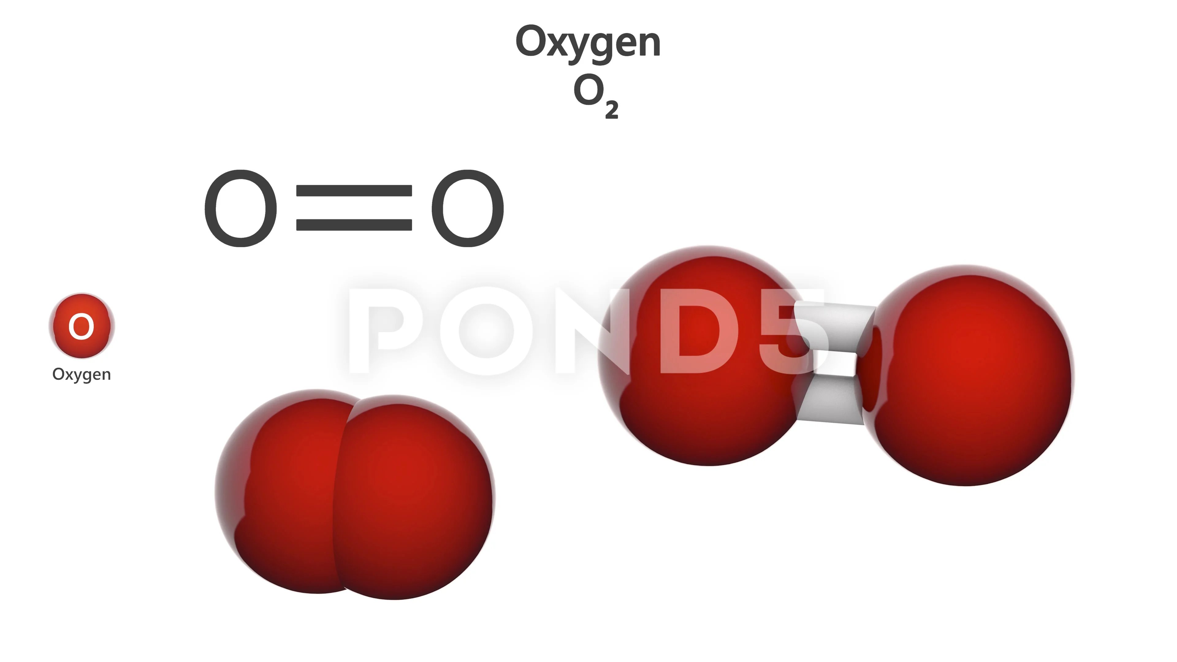 O2 Molecule