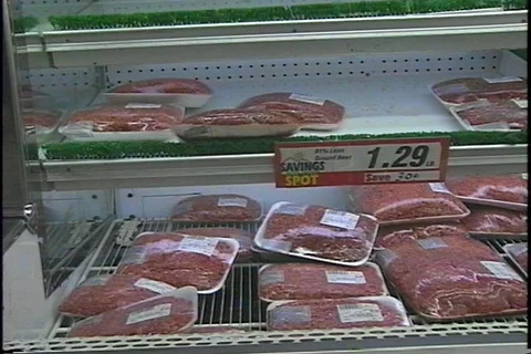 Animals On Grocery Stock Footage ~ Royalty Free Stock Videos | Pond5