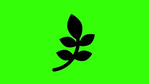 Black Scree N Stock Videos – Royalty-Free HD & 4K Videos | Pond5