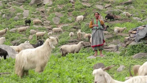 Pahari Stock Video Footage | Royalty Free Pahari Videos | Pond5