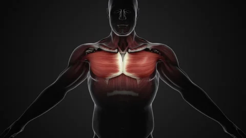 Pain and injury in the Chest Pectoralis ... | Stock Video | Pond5