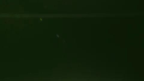 Picture Bullet Stock Videos – Royalty-Free HD & 4K Videos | Pond5