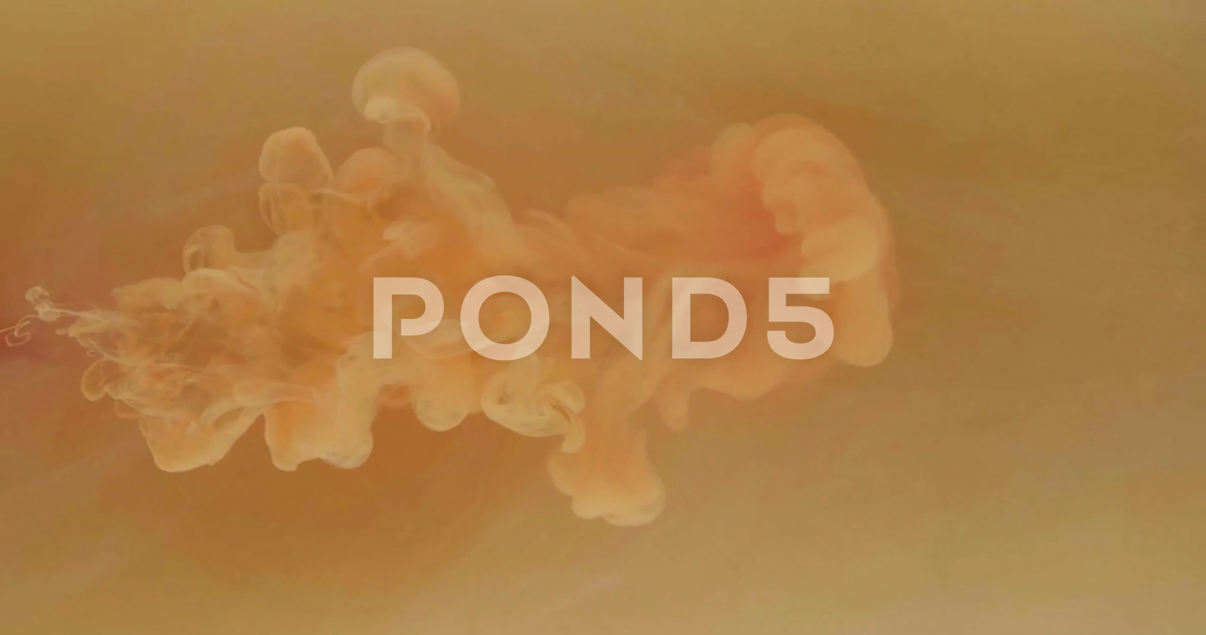 Smoked Transparent Paint