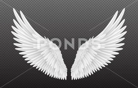 Pair of beautiful white angel wings isolated on transparent background ...