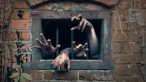 Zombie Hand Window Stock Videos – Royalty-Free HD & 4K Videos