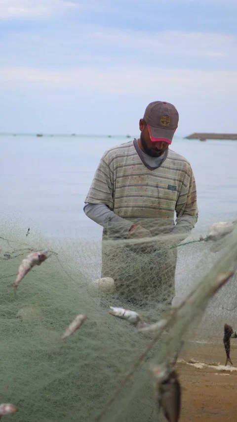 Pakistani Ocean Videos Stock Videos – Royalty-Free HD & 4K Videos