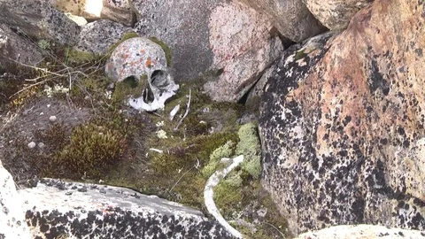 Paleo Inuit grave with human skull and l... | Stock Video | Pond5