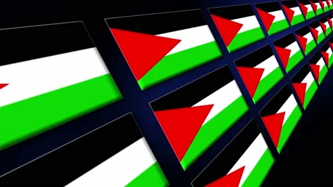 Palestine Flag Animated Background 3d An... | Stock Video | Pond5
