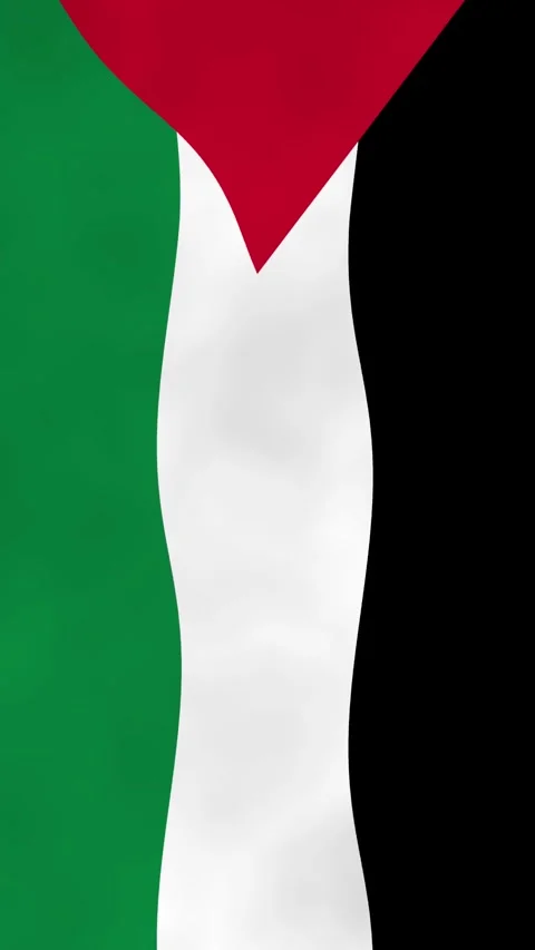 Palestine flag waving vertical 4k Animat... | Stock Video | Pond5