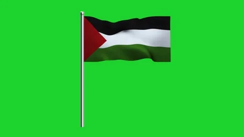 Flag With Stick Stock Videos – Royalty-Free HD & 4K Videos | Pond5