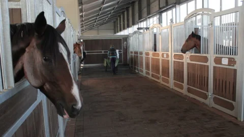 Pallet See Stock Videos – Royalty-Free HD & 4K Videos | Pond5