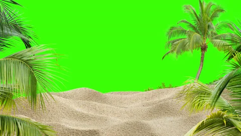 Palm and Sand (Green Screen) | Stock Video | Pond5