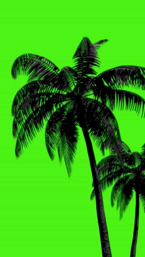 Palm Leaf Green Screen Stock Footage ~ Royalty Free Stock Videos | Pond5