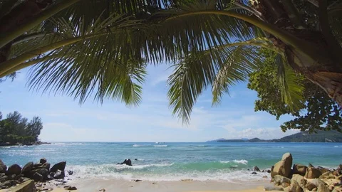 Palm Leaves over a Pristine Tropical Bea... | Stock Video | Pond5